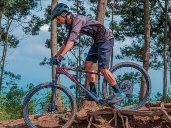 5 Essential Cycling Skills for Beginners - Rodalink