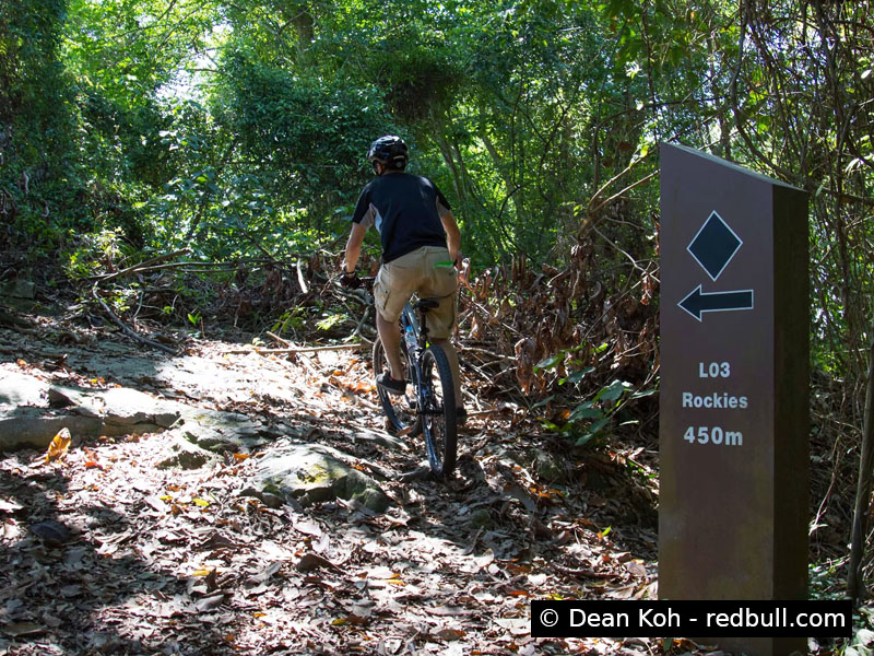Top 5 Mountain Bike Trails in Singapore - Rodalink