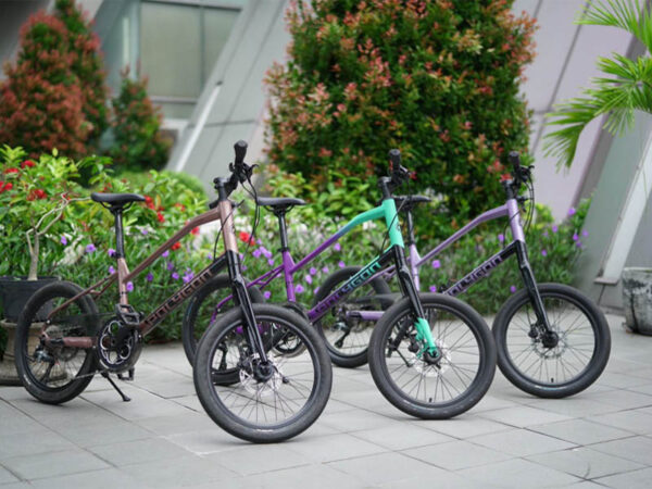 Mini Velo Frame Size, What is the Best Frame Size? - Rodalink