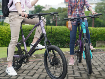 Reason Why Mini Velo Bike You Must Have, Small but Steady! - Rodalink