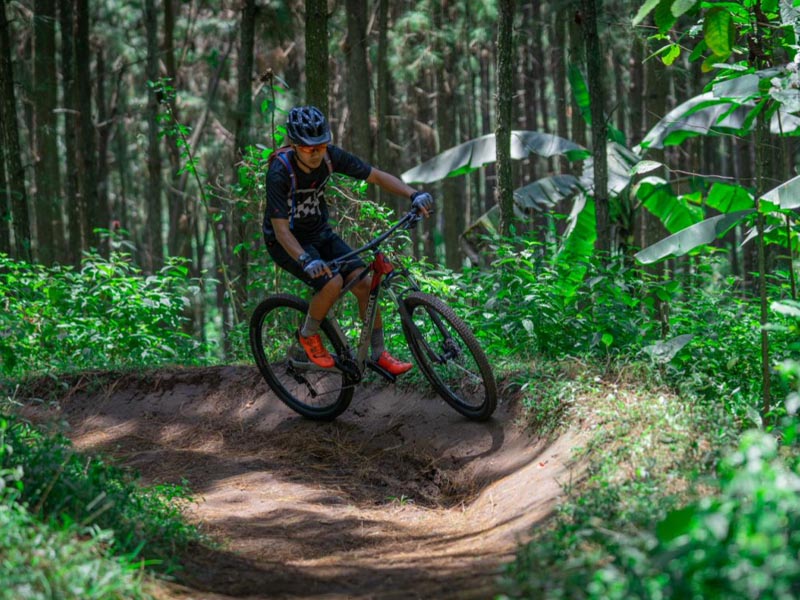 Polygon Xtrada 5 Review, Is This Bike Worth Your Money? - Rodalink