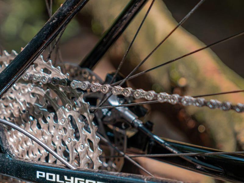 Bike Anatomy Must Know Before Choosing Your First Bike - Rodalink