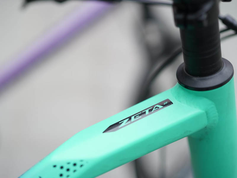 Mini Velo Frame Size, What is the Best Frame Size? - Rodalink