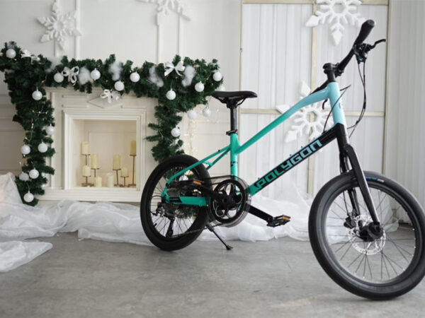 Reason Why Mini Velo Bike You Must Have, Small but Steady! - Rodalink