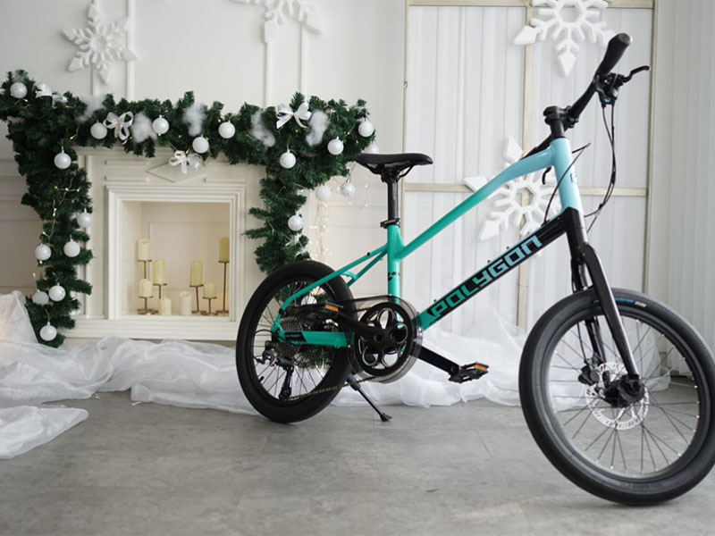 Reason Why Mini Velo Bike You Must Have, Small but Steady! - Rodalink