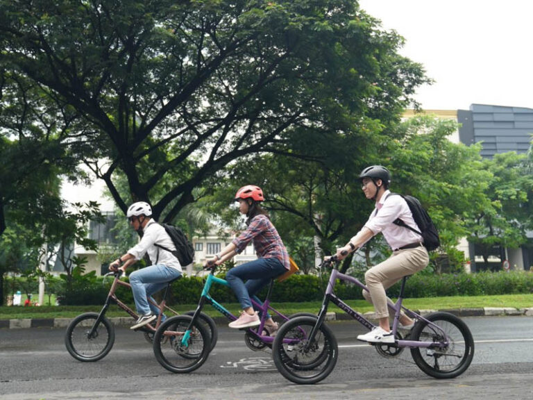 Mini Velo Singapore: Complete Guide for Beginners! - Rodalink