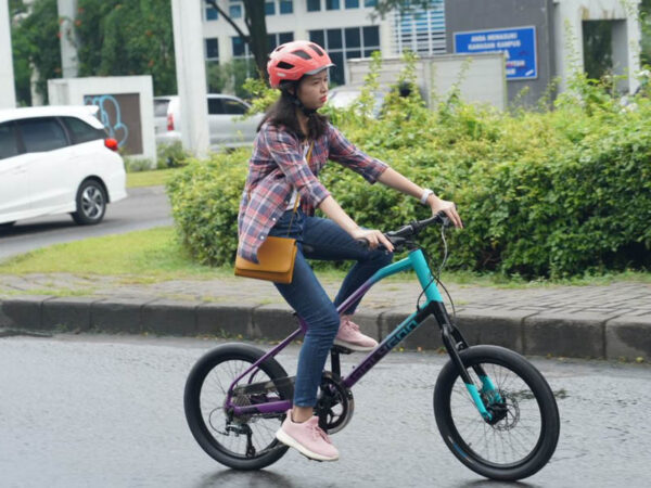 Mini Velo Singapore: Complete Guide for Beginners! - Rodalink