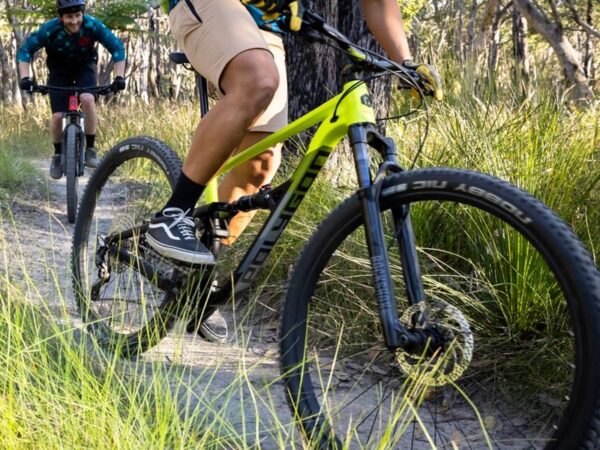 Polygon Mountain Bike Review, Which One Worth Your Money? - Rodalink