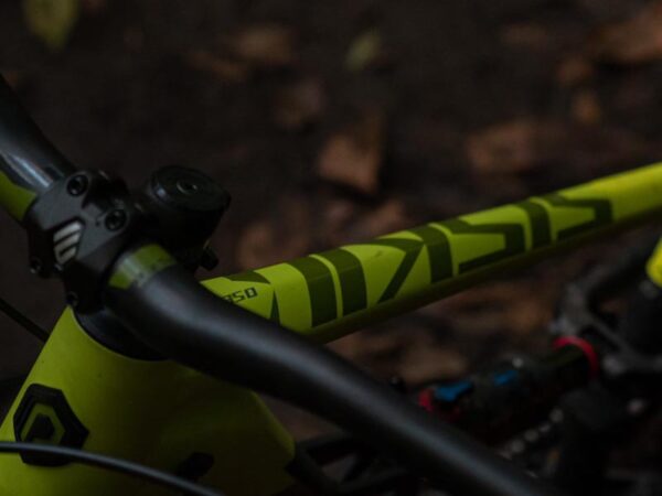 Bike Anatomy Must Know Before Choosing Your First Bike - Rodalink