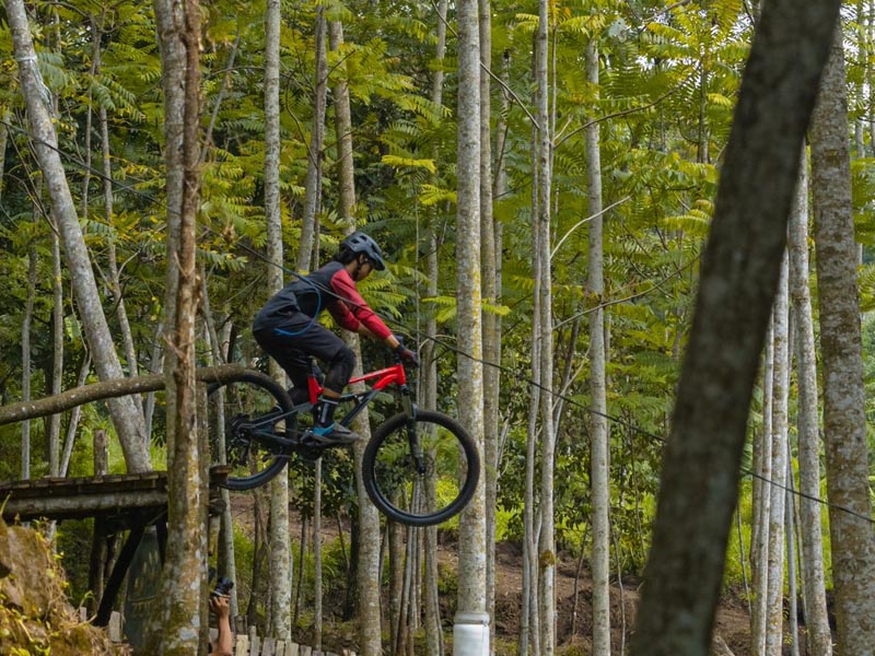 How to Setup A Full Suspension Mountain Bike and Why? - Rodalink