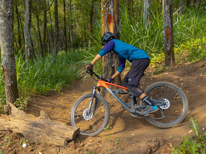 Polygon Mountain Bikes: Is It Worth Your Money to Get One? - Rodalink