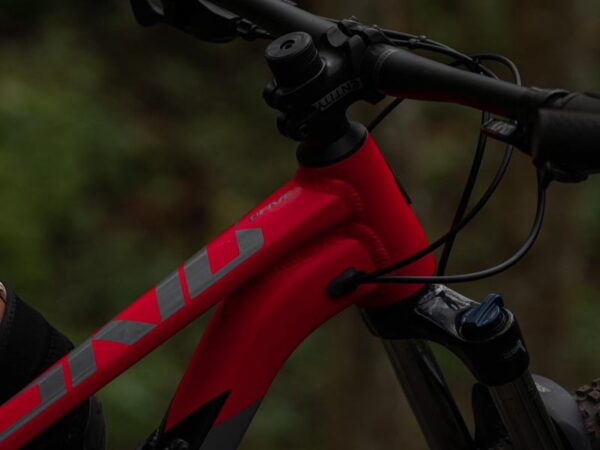 Bike Anatomy Must Know Before Choosing Your First Bike - Rodalink