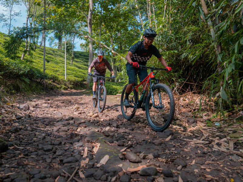 What is A Hardtail Mountain Bike and What is It Use For? - Rodalink