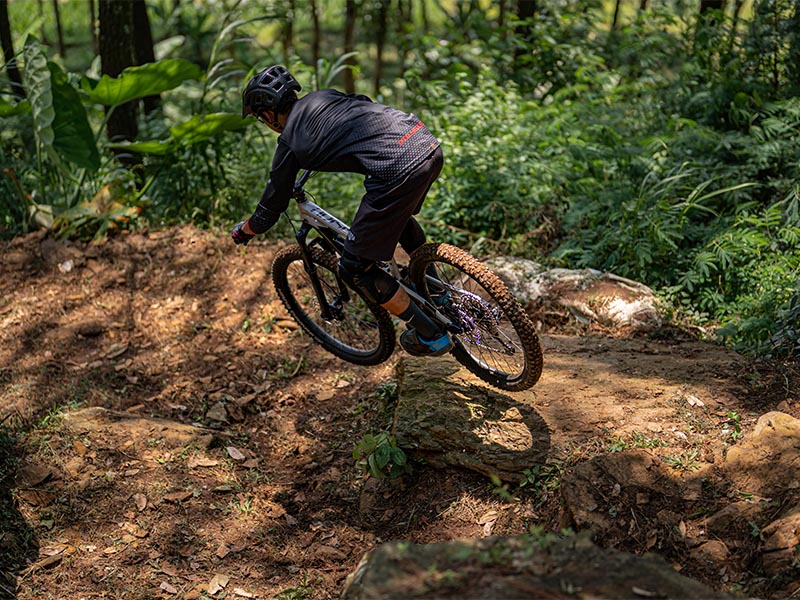 5 Benefits of Cycling and Why Is It Important For You - Rodalink