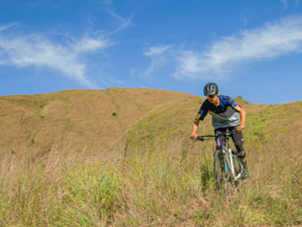 Polygon Xtrada 7 Review, Is This Bike Good To Have? - Rodalink