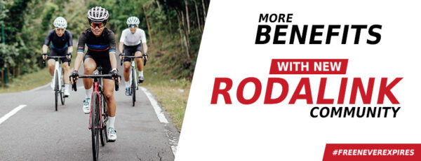 Polygon Cascade 4 vs Premier 4, Which is Better to Have? - Rodalink