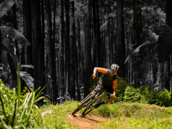 Polygon Xtrada 6 Review, A Good Choice for A First Bike - Rodalink