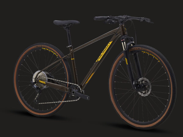 Polygon Touring Bike, Reason Why You Should Have One - Rodalink