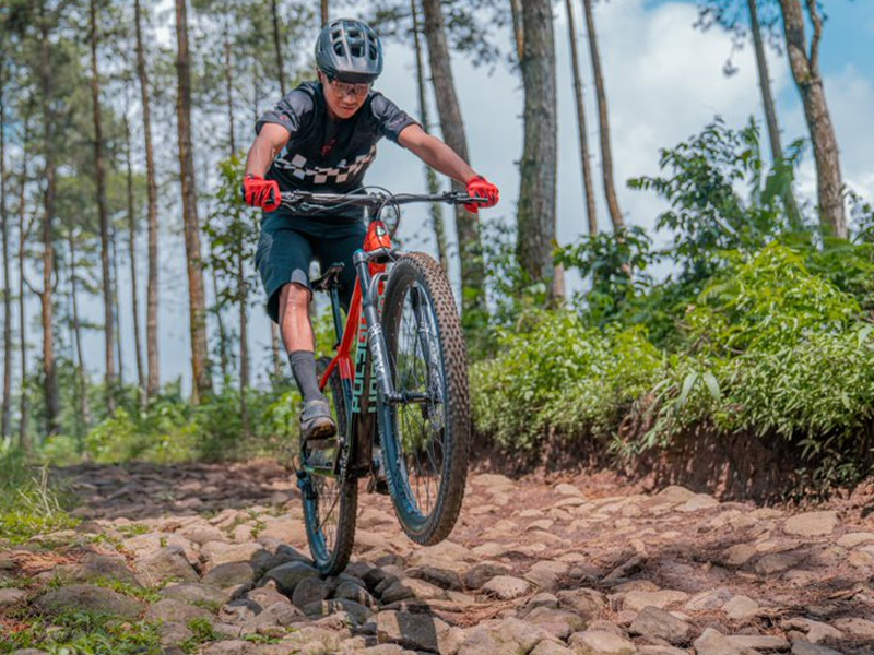 Is A Polygon MTB Worth The Money? - Rodalink