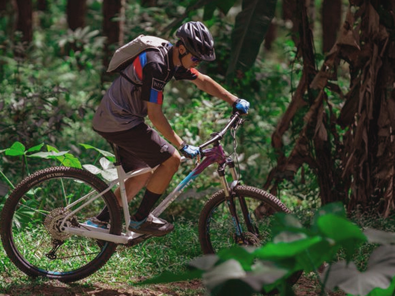 Is A Polygon MTB Worth The Money? - Rodalink