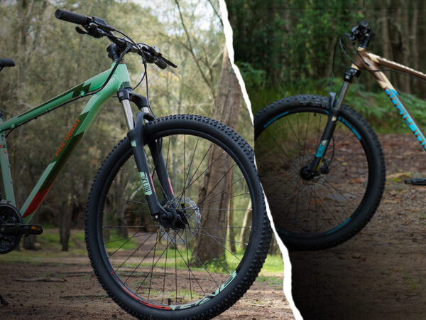 Polygon Cascade 4 vs Premier 4, Which is Better to Have? - Rodalink