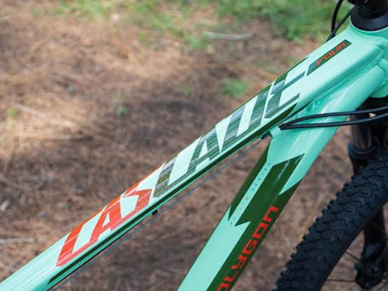 Polygon Cascade 4 vs Premier 4, Which is Better to Have? - Rodalink