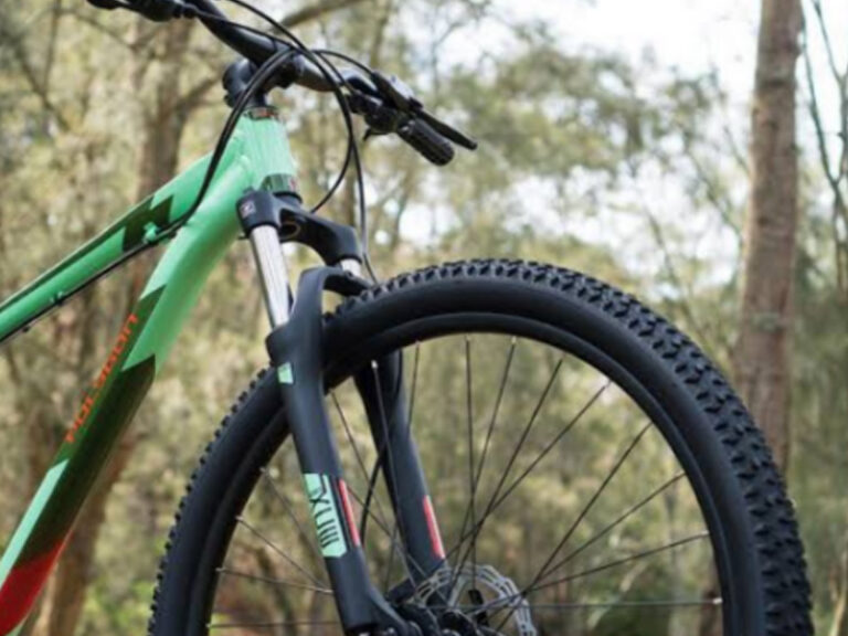 Polygon Cascade 4 vs Premier 4, Which is Better to Have? - Rodalink