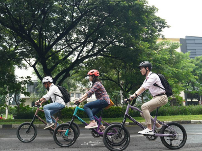 Mini Velo vs Road Bike, Which Bike is Better to Pick? - Rodalink