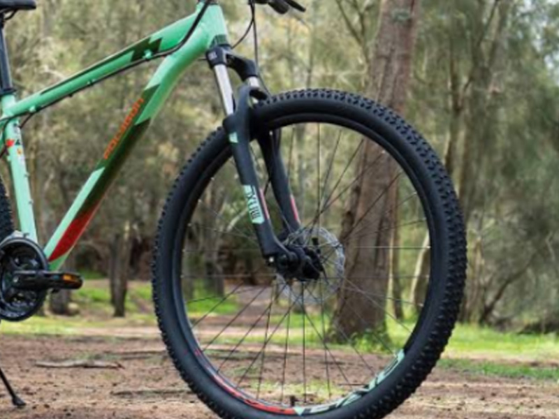 Polygon Cascade 4 vs Premier 4, Which is Better to Have? - Rodalink