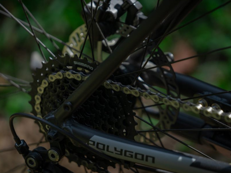 Polygon Cascade 4 vs Premier 4, Which is Better to Have? - Rodalink