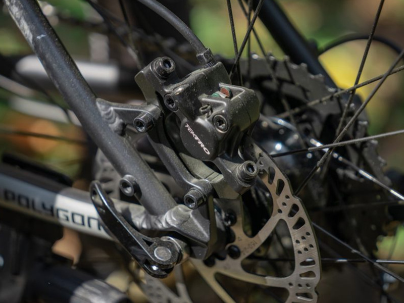 Polygon Cascade 4 vs Premier 4, Which is Better to Have? - Rodalink