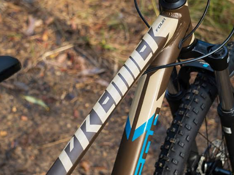 Polygon Cascade 4 vs Premier 4, Which is Better to Have? - Rodalink