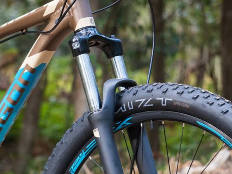 Polygon Cascade 4 vs Premier 4, Which is Better to Have? - Rodalink