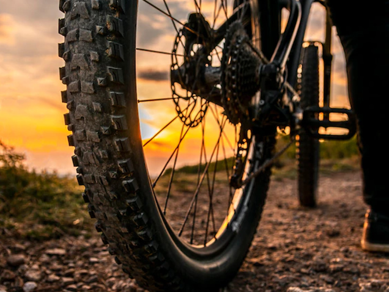 4 Easy Tips on How to Choose Your Hybrid Bike Tires - Rodalink