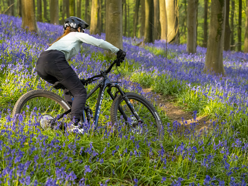 5 Mountain Bike Types Explained - Rodalink