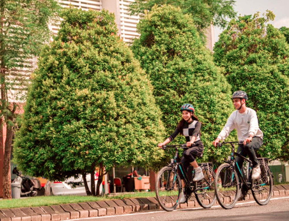 Polygon Xtrada 8 Review, Best Mountain Bike for Biking - Rodalink