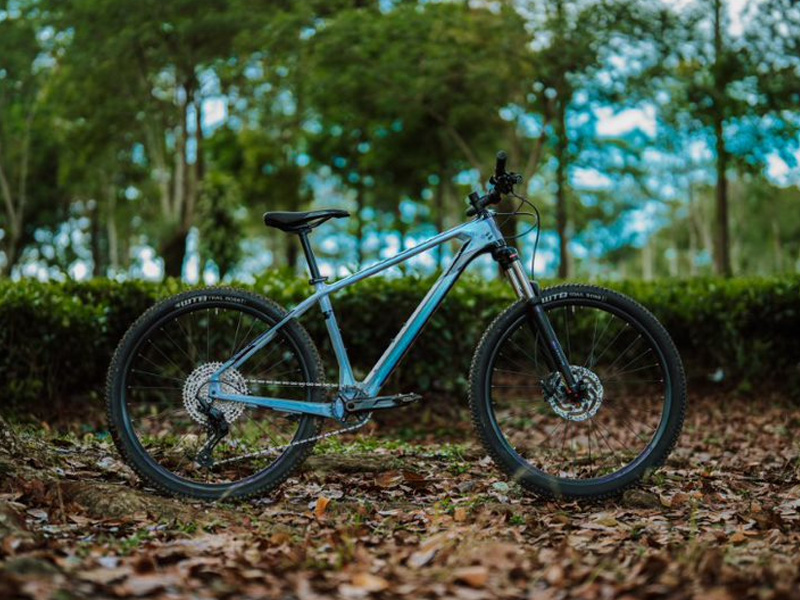 Mountain Bike Anatomy Guides You Should Know - Rodalink