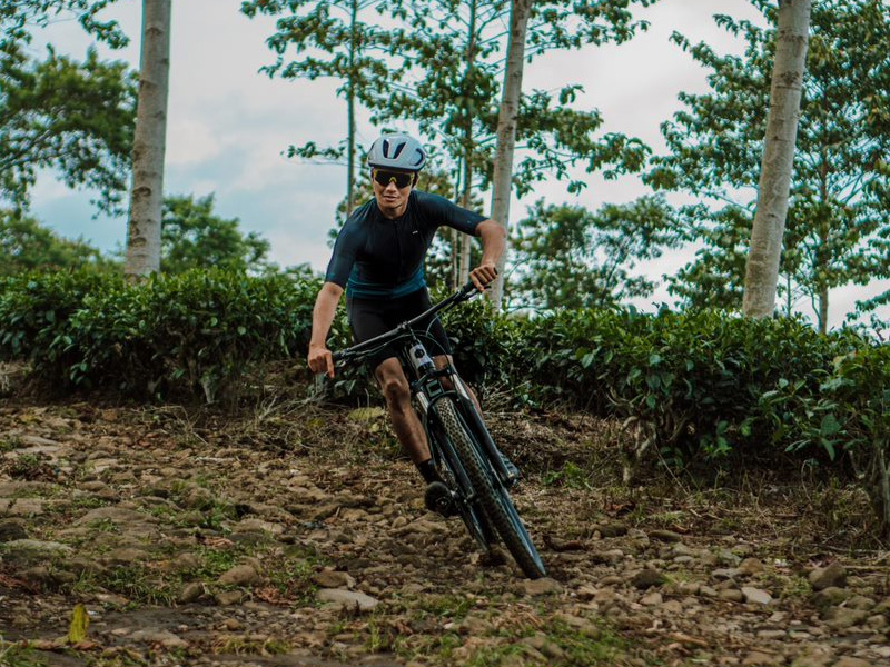 Complete Guide on How to Choose A Mountain Bike - Rodalink