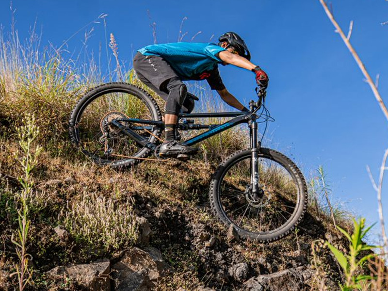5 Types Of Mountain Bike You Have to Know - Rodalink