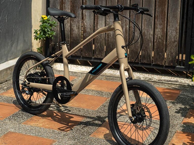 Complete Review: Polygon Gili Velo Electric Bike - Rodalink