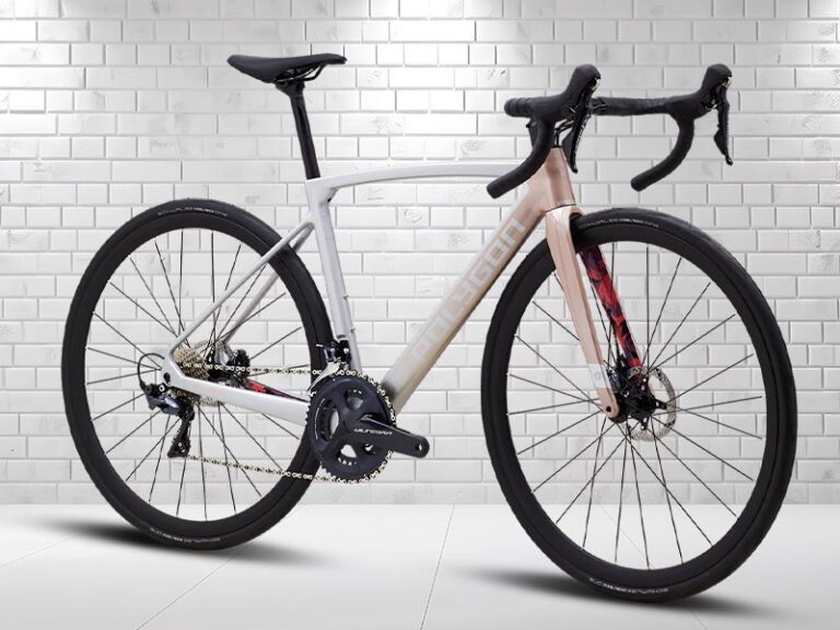 Best Road Bike Prices Malaysia for 2025- Rodalink