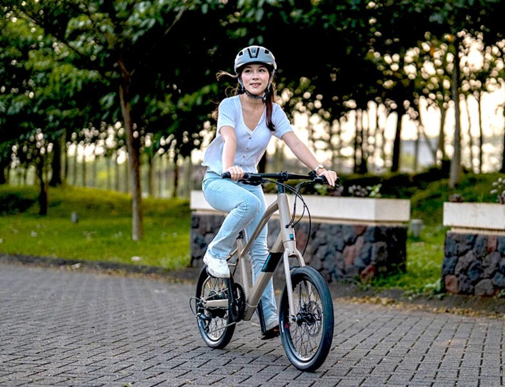 Best Electric Bicycles in Malaysia 2024- Rodalink