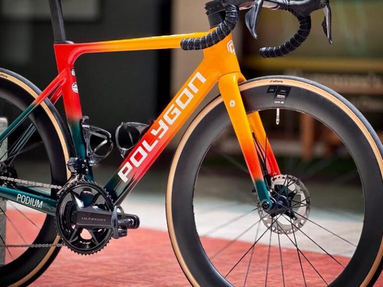 7 Road Bikes You Must Have in Singapore for 2025- Rodalink
