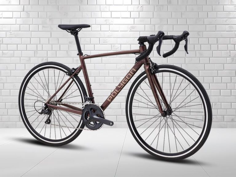 7 Road Bikes You Must Have in Singapore for 2025- Rodalink