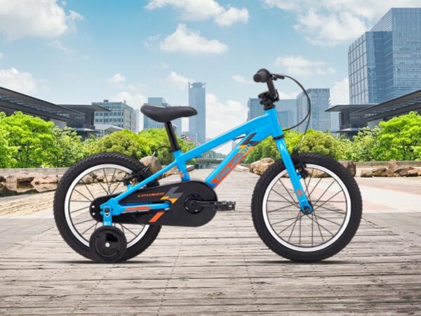 Top Polygon Kids Bike Picks 2025 in SG - Rodalink